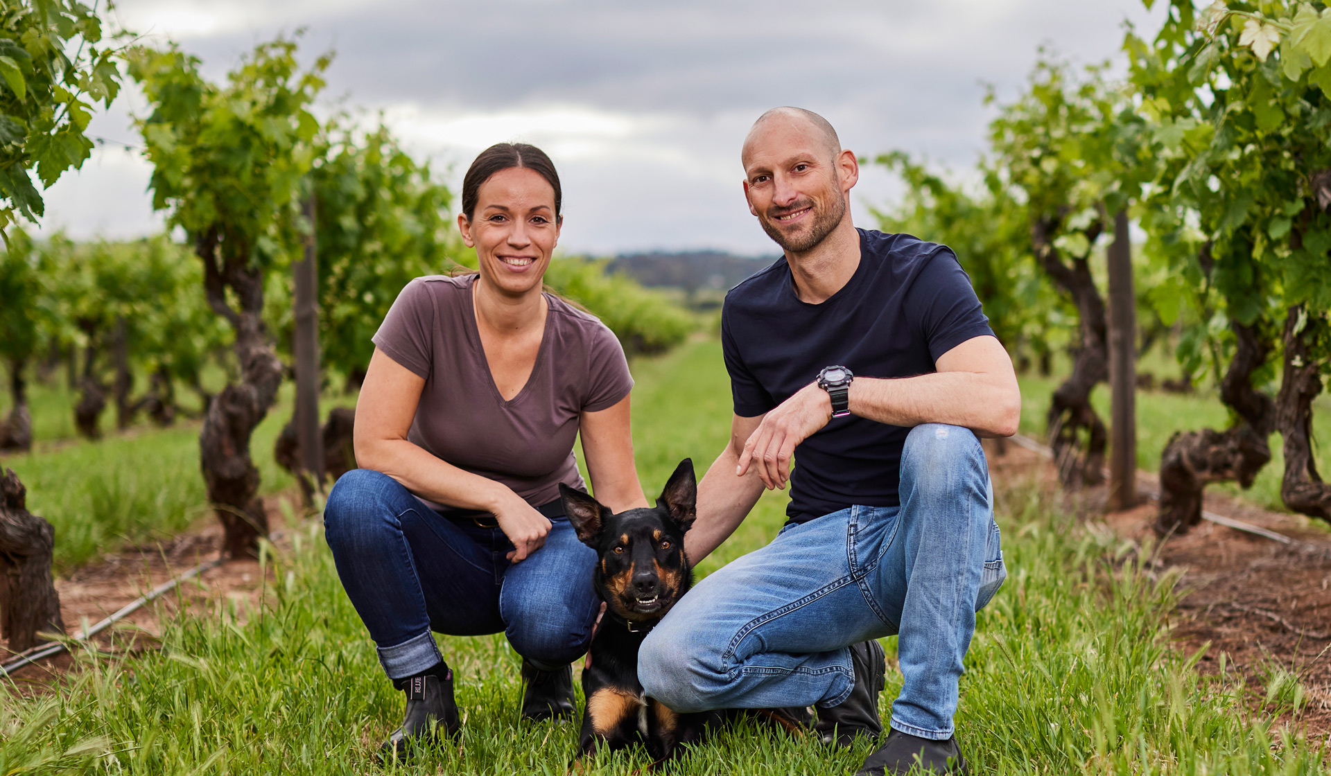 About us | Iggy Wines